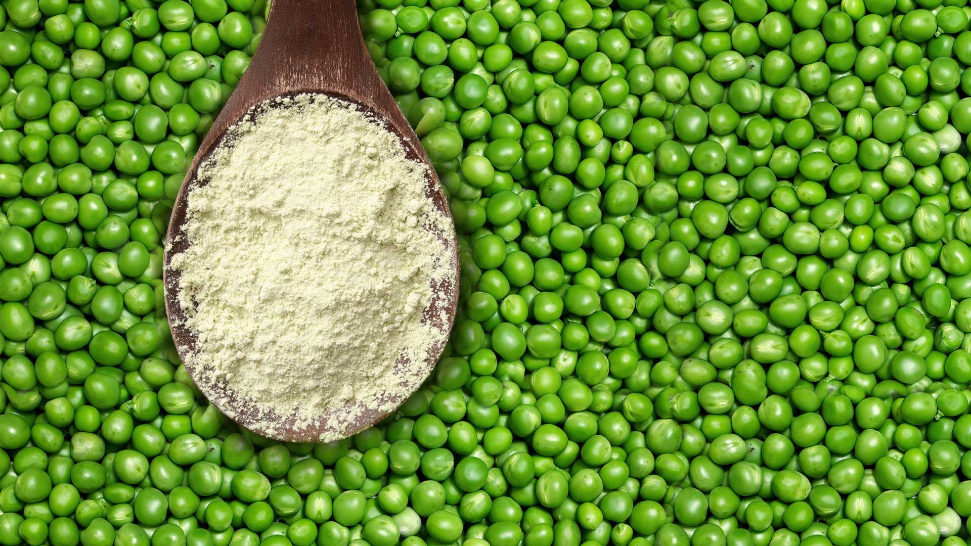 Equinom Achieves Record High of 75% Protein Content in Minimally ...