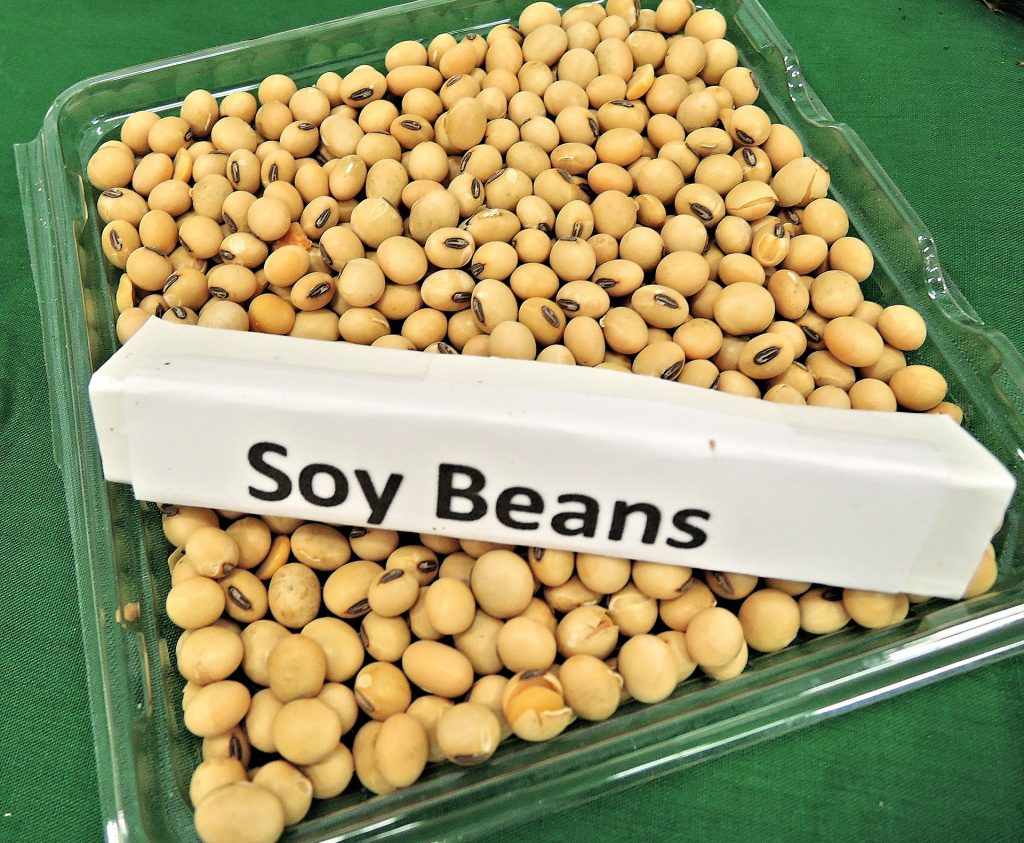 Do you know the five functions of soybean protein? - Protein ...