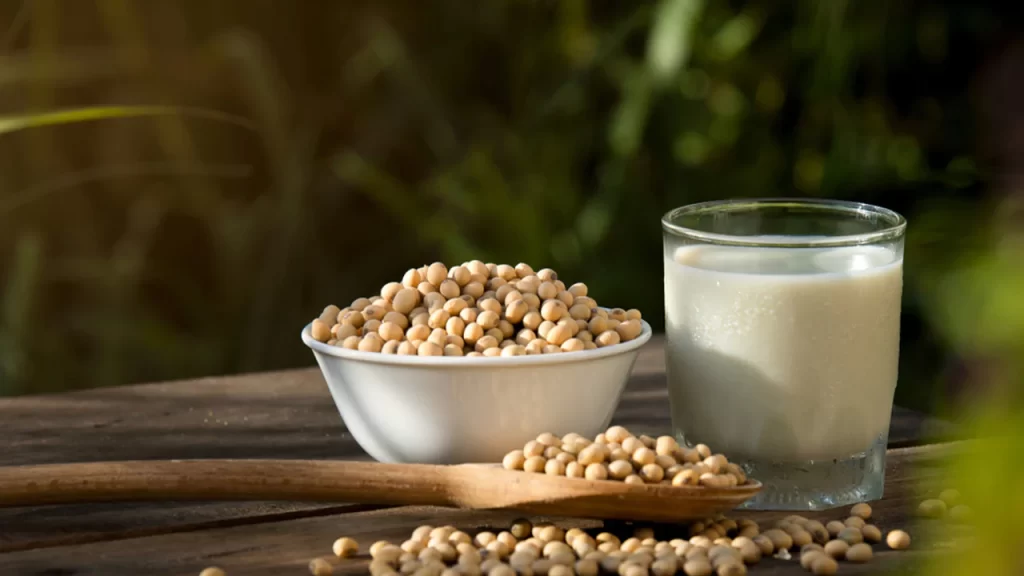 Animal protein, plant protein, soy protein, soy protein isolate, which ...